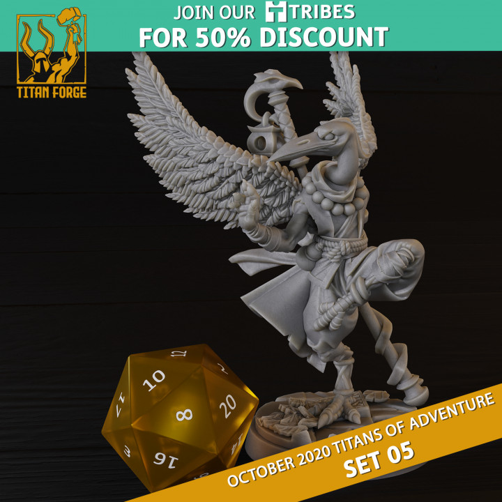 3D Printable Arakoa Monk - RPG Hero Character D&D 5e - Titans of ...