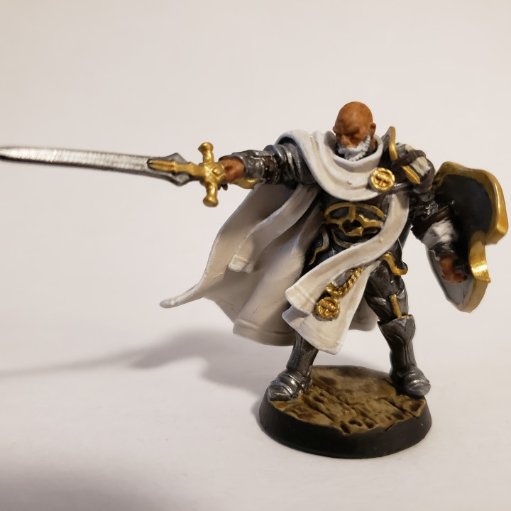 Impresión 3D de Human Male Paladin - RPG Hero Character D&D 5e - Titans ...