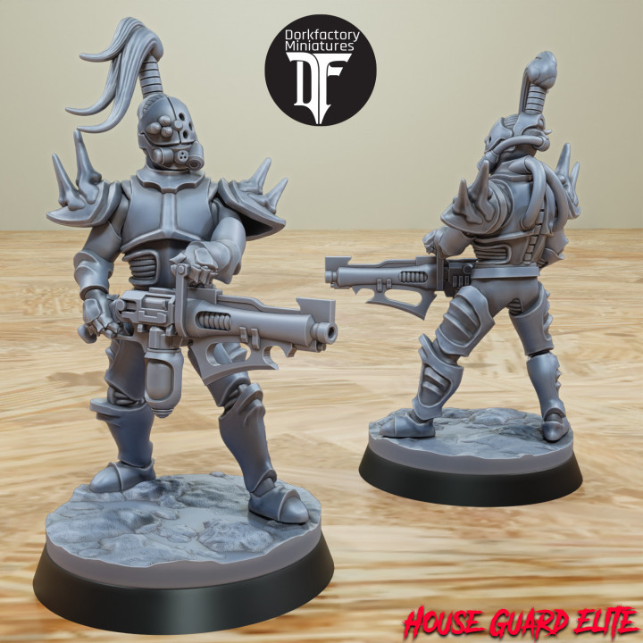 3D Printable House Guard Elite by Dorkfactory Miniatures