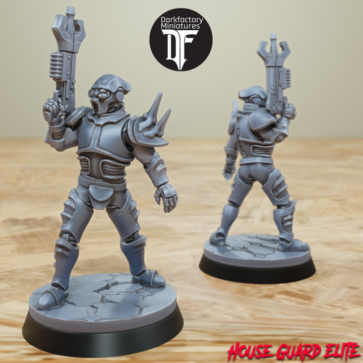 3D Printable House Guard Elite by Dorkfactory Miniatures