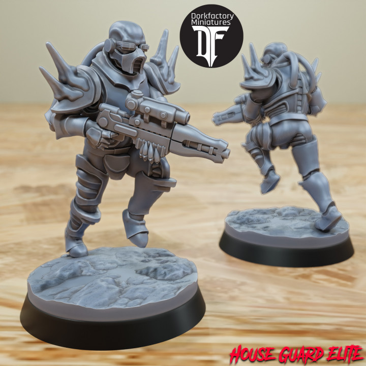3D Printable House Guard Elite by Dorkfactory Miniatures