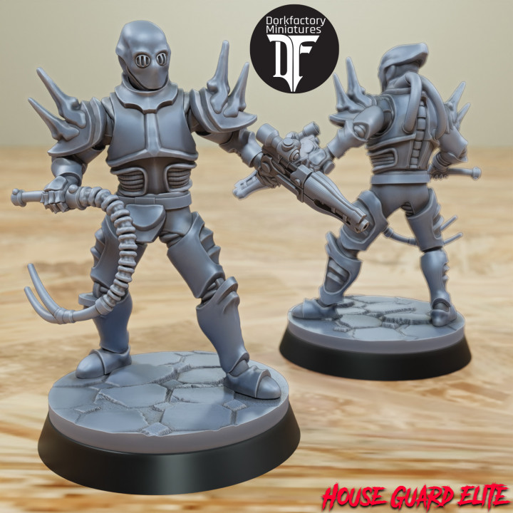 3D Printable House Guard Elite by Dorkfactory Miniatures