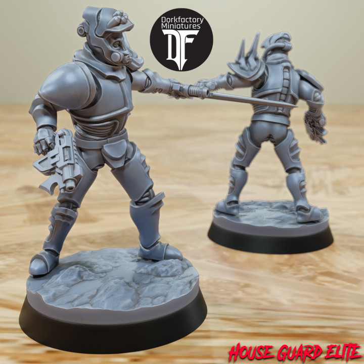 3D Printable House Guard Elite by Dorkfactory Miniatures