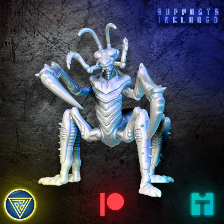 3D Printable Space Mantis Set by Print Paint Play