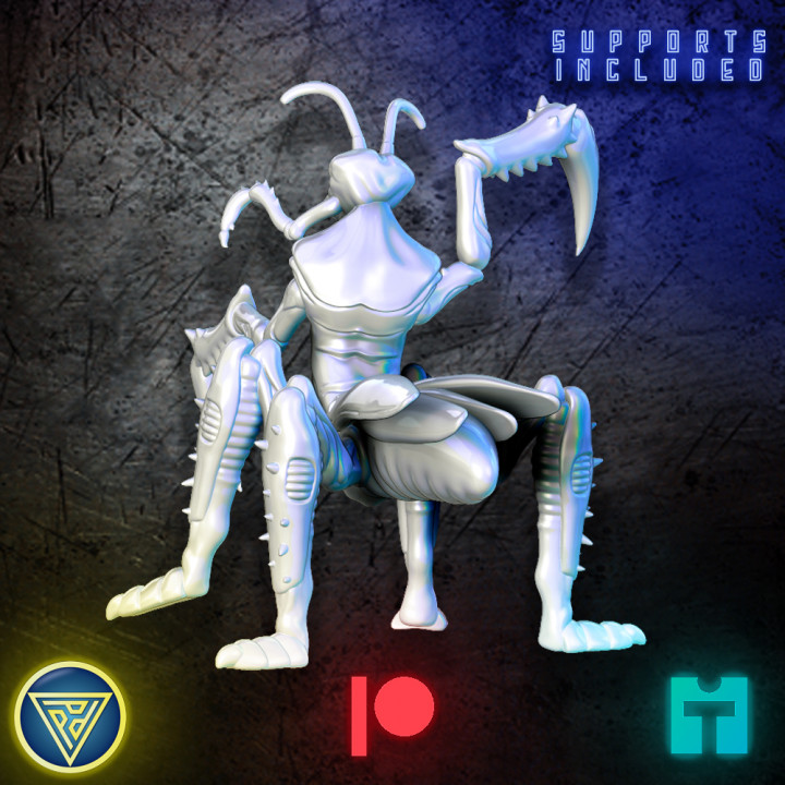 3D Printable Space Mantis Set by Print Paint Play