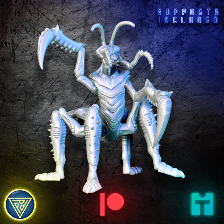 3D Printable Space Mantis Set by Print Paint Play