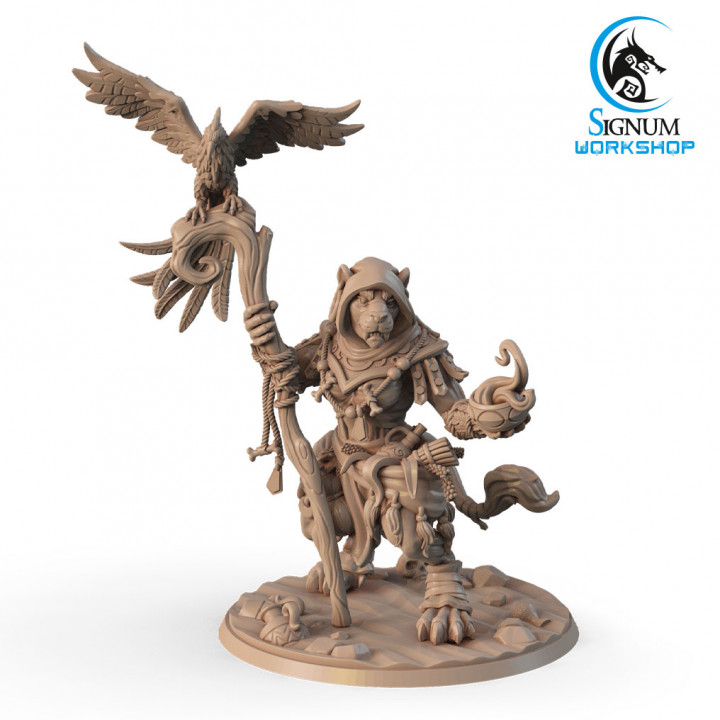3D Printable Adia, The Mistwalker by Signum Workshop