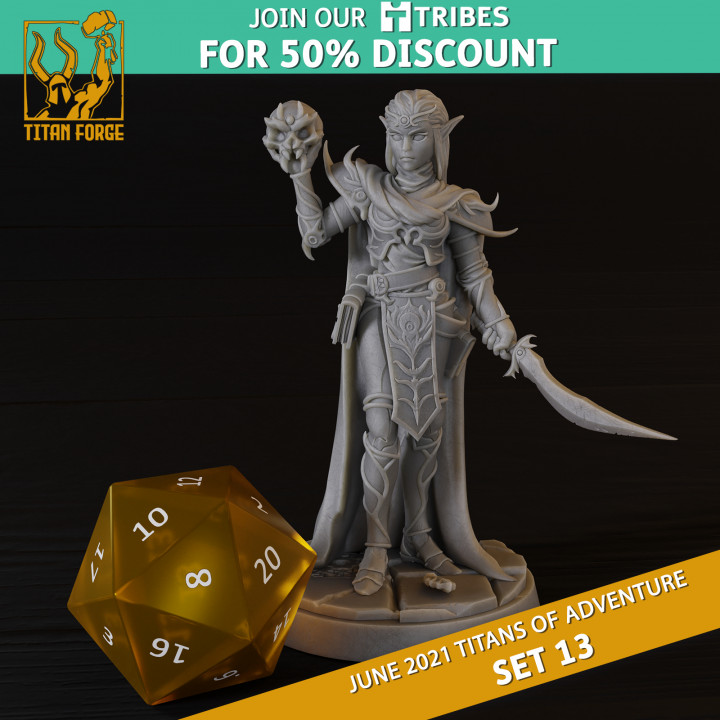 3D Printable Elf Female Wizard - RPG Hero Character D&D 5e - Titans of ...
