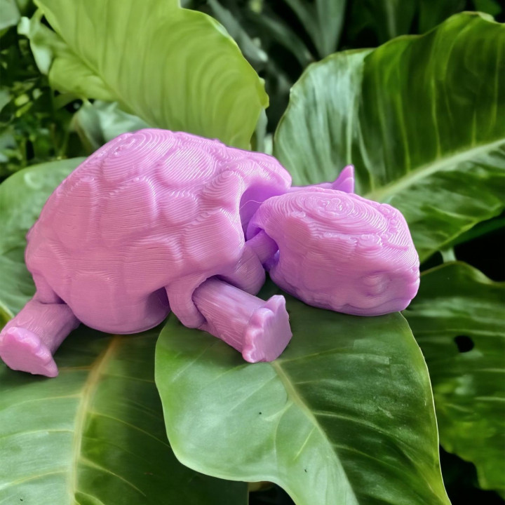 3D Printable Box Turtle by The Dragon's Den