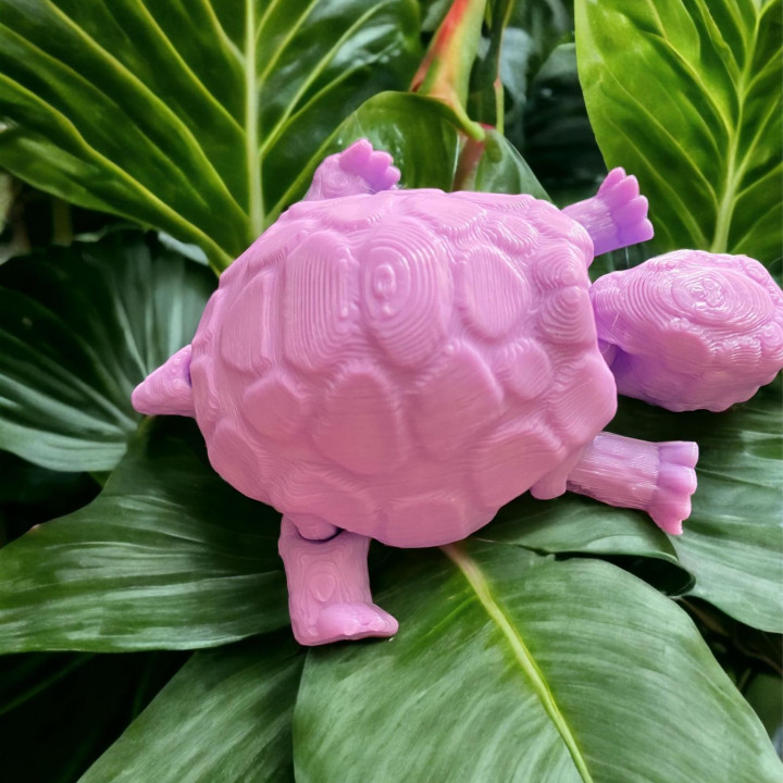 3D Printable Box Turtle by The Dragon's Den
