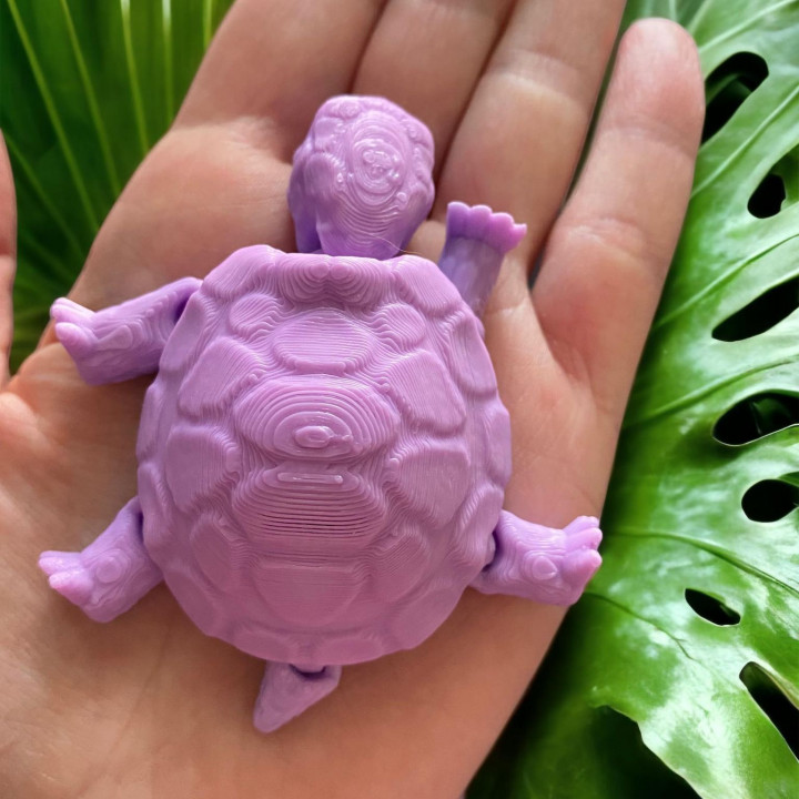 3D Printable Box Turtle by The Dragon's Den