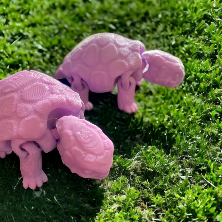3D Printable Box Turtle by The Dragon's Den