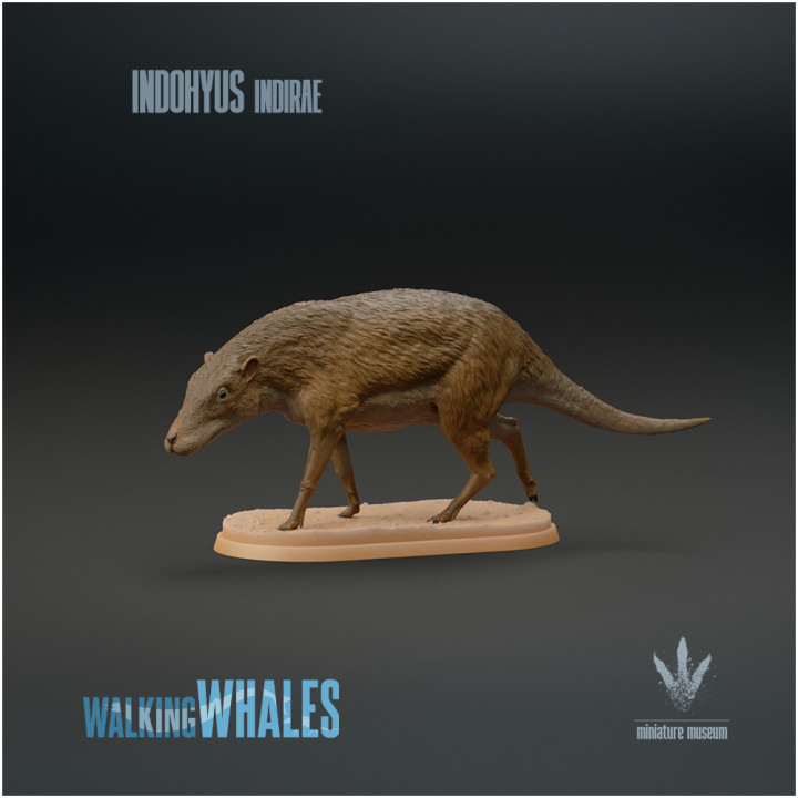3D Printable Indohyus indirae : The Missing Link by Miniature Museum