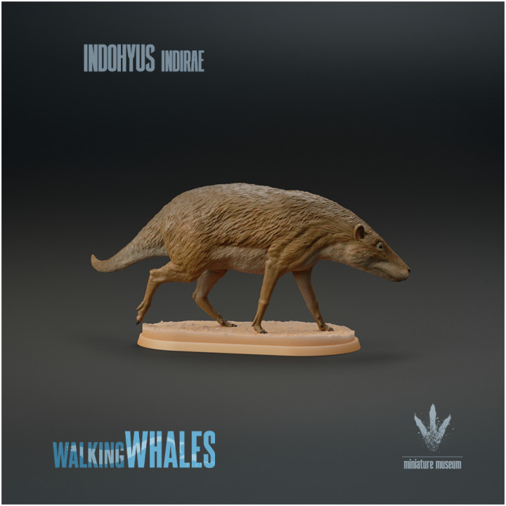 3D Printable Indohyus indirae : The Missing Link by Miniature Museum