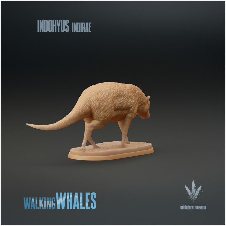 3D Printable Indohyus indirae : The Missing Link by Miniature Museum