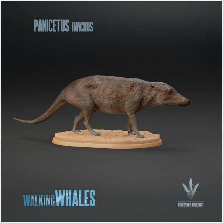 3D Printable Pakicetus inachus : Dog-like Whale by Miniature Museum