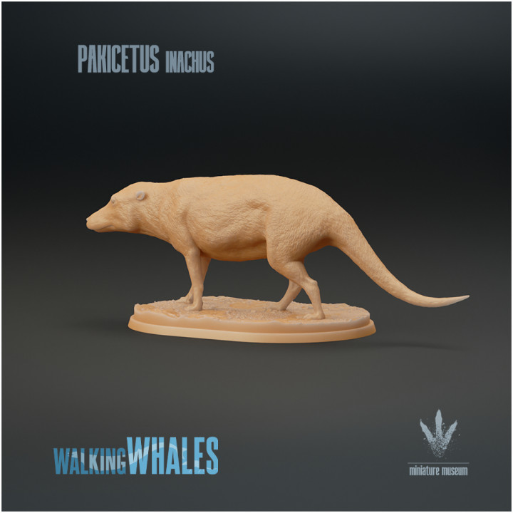 3D Printable Pakicetus inachus : Dog-like Whale by Miniature Museum