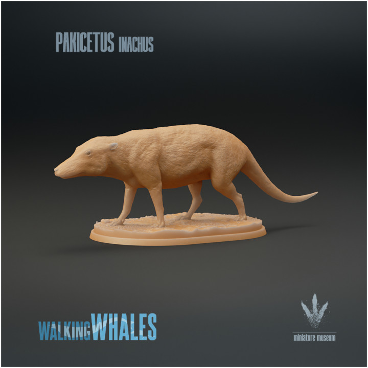3D Printable Pakicetus inachus : Dog-like Whale by Miniature Museum
