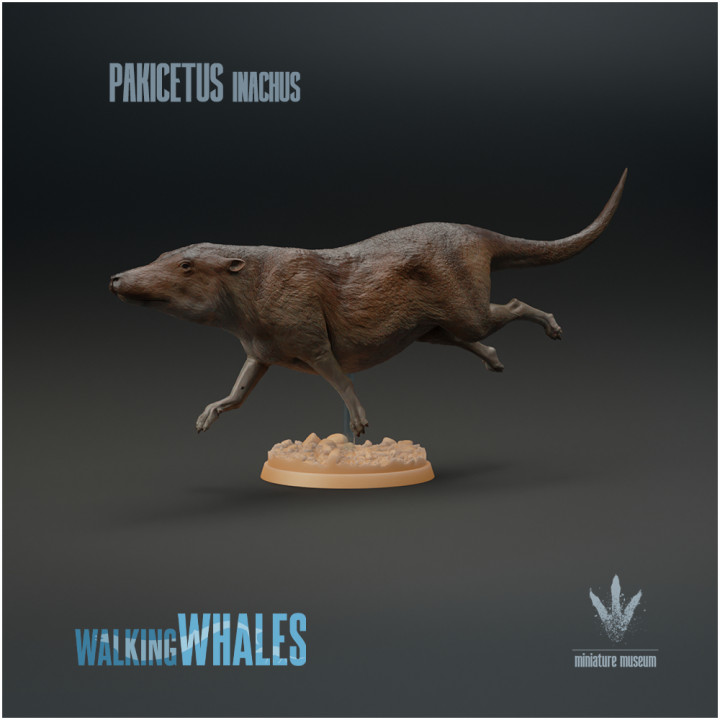 3D Printable Pakicetus inachus : Swimming by Miniature Museum