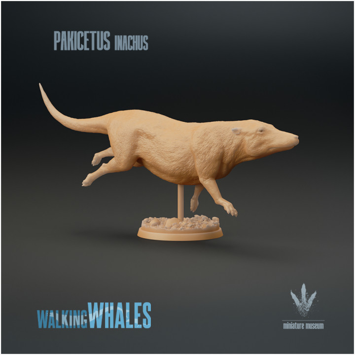 3D Printable Pakicetus inachus : Swimming by Miniature Museum