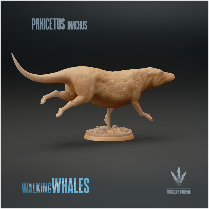 3D Printable Pakicetus inachus : Swimming by Miniature Museum