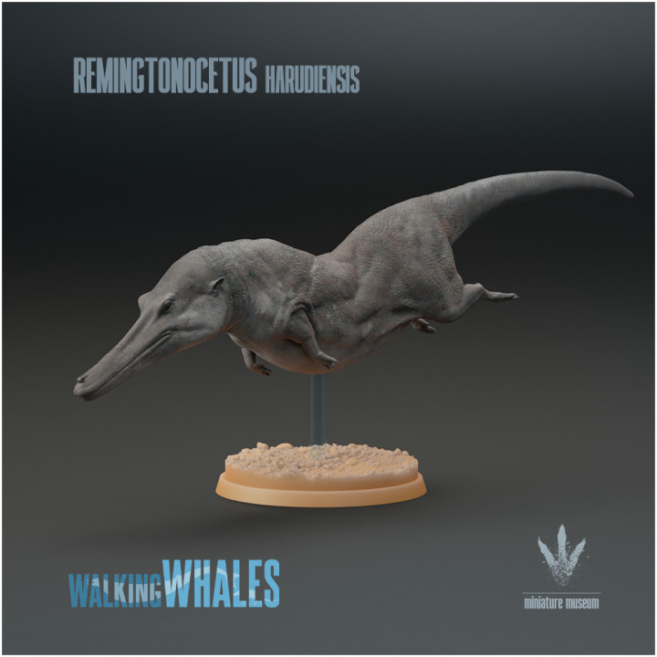 3D Printable Remingtonocetus harudiensis : The Slender Whale by ...