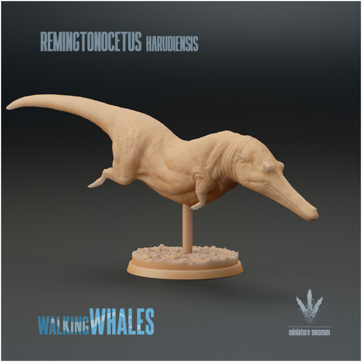 3D Printable Remingtonocetus harudiensis : The Slender Whale by ...