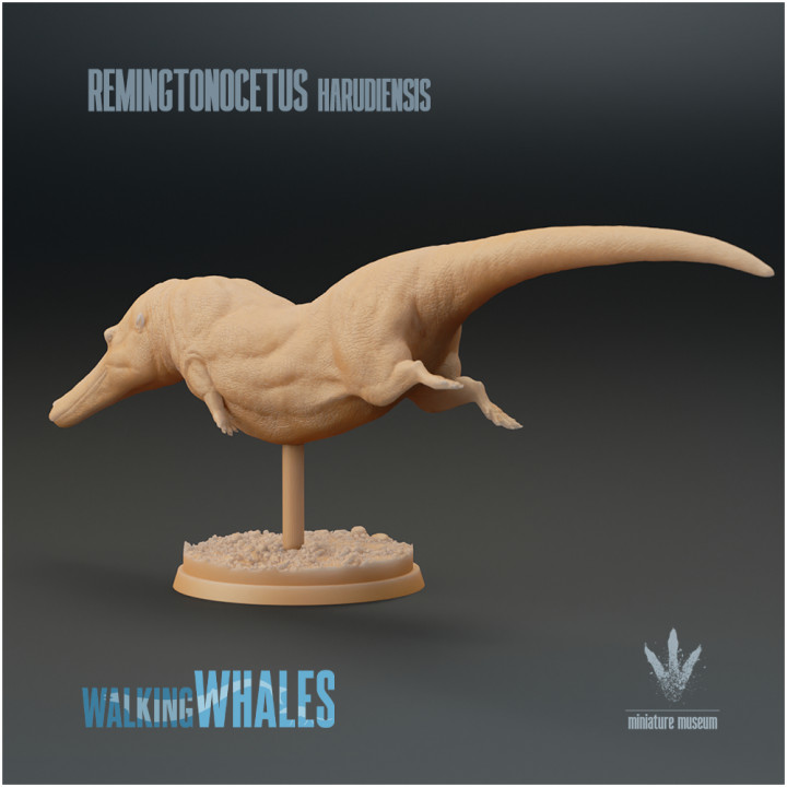 3D Printable Remingtonocetus harudiensis : The Slender Whale by ...