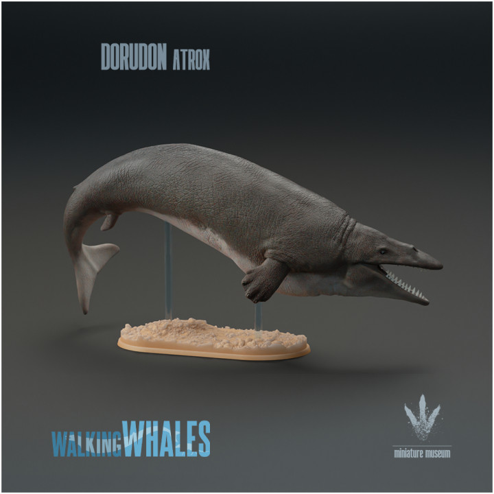 3D Printable Dorudon atrox : Spear-toothed Whale by Miniature Museum