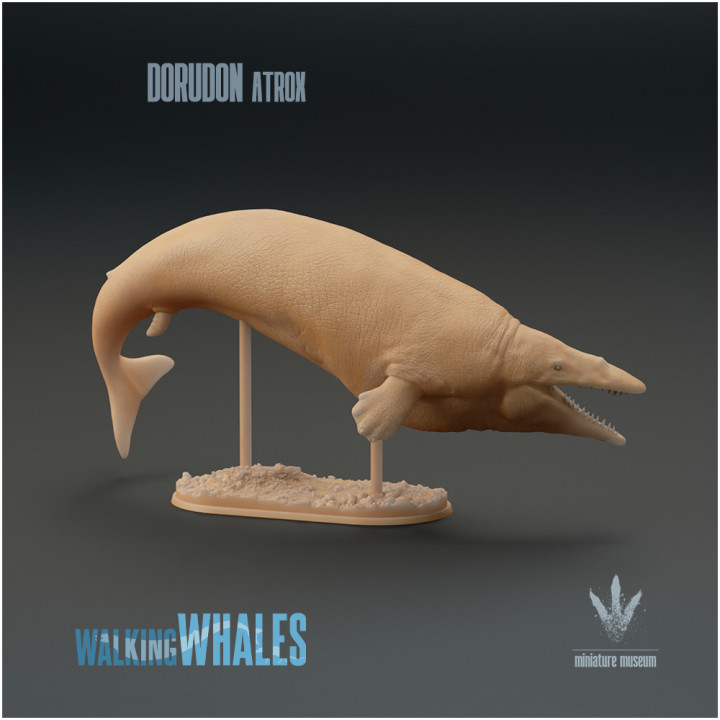 3D Printable Dorudon atrox : Spear-toothed Whale by Miniature Museum
