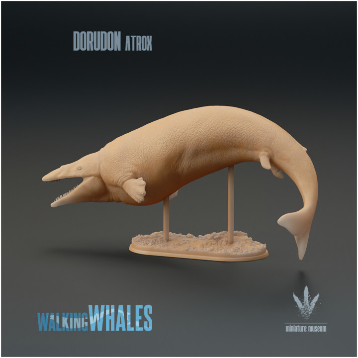 3D Printable Dorudon atrox : Spear-toothed Whale by Miniature Museum