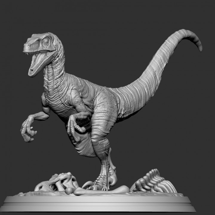 3D Printable VELOCIRAPTOR by YD STUDIO