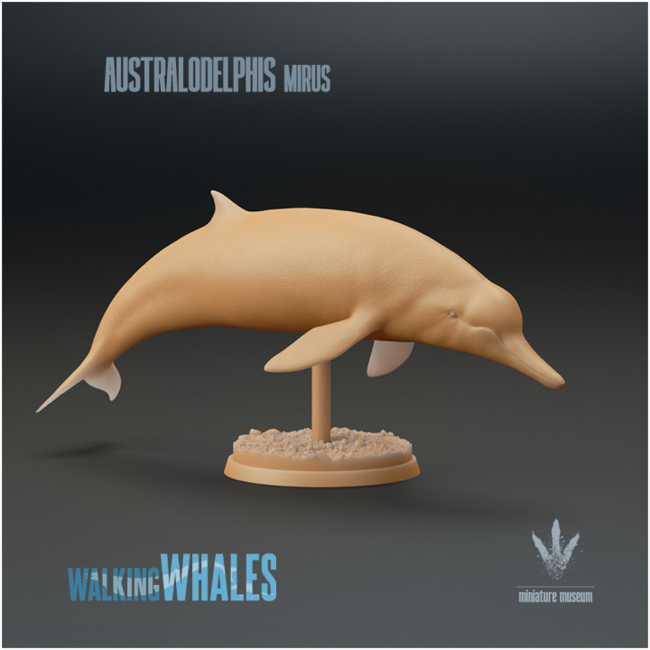 3D Printable Australodelphis mirus : Prehistoric Beaked-whale by ...