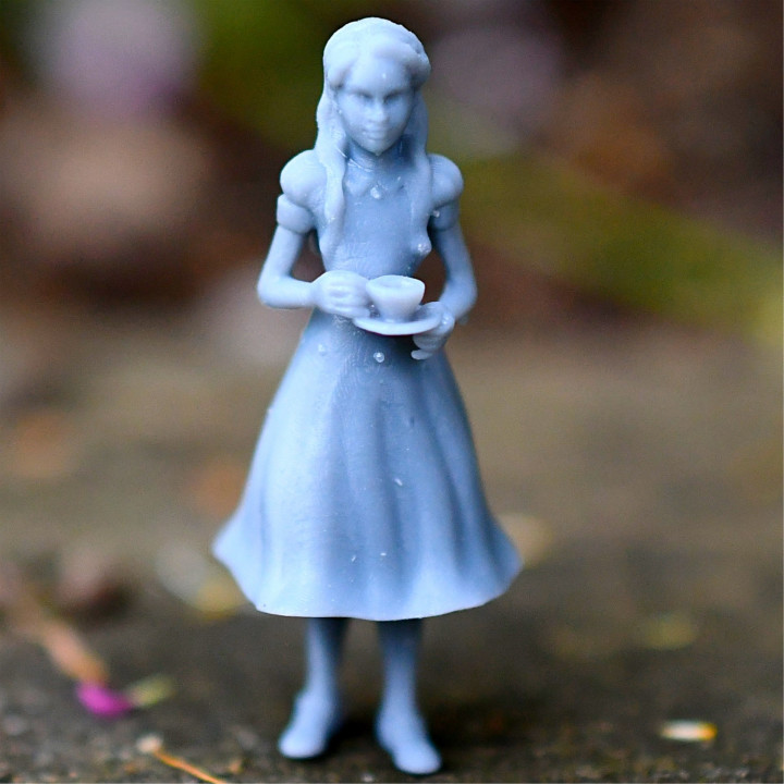 3D Printable Alice in Wonderland by Gametee 3d Miniatures