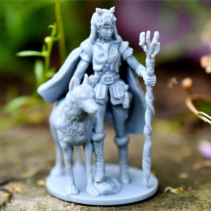 3D Printable Druid and Wolf by Gametee 3d Miniatures