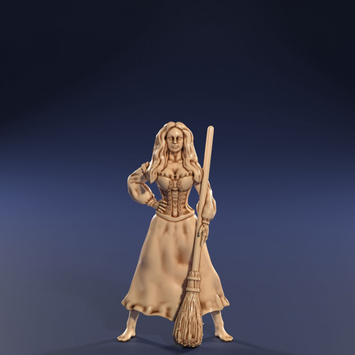 3D Printable Street Sweeper – Cinders | Fantasy Peasant Miniature by ...