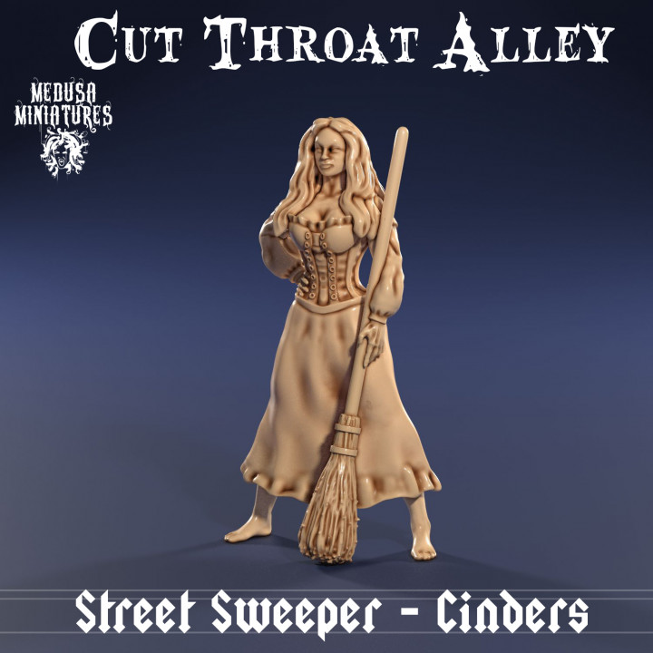 3D Printable Street Sweeper – Cinders | Fantasy Peasant Miniature by ...