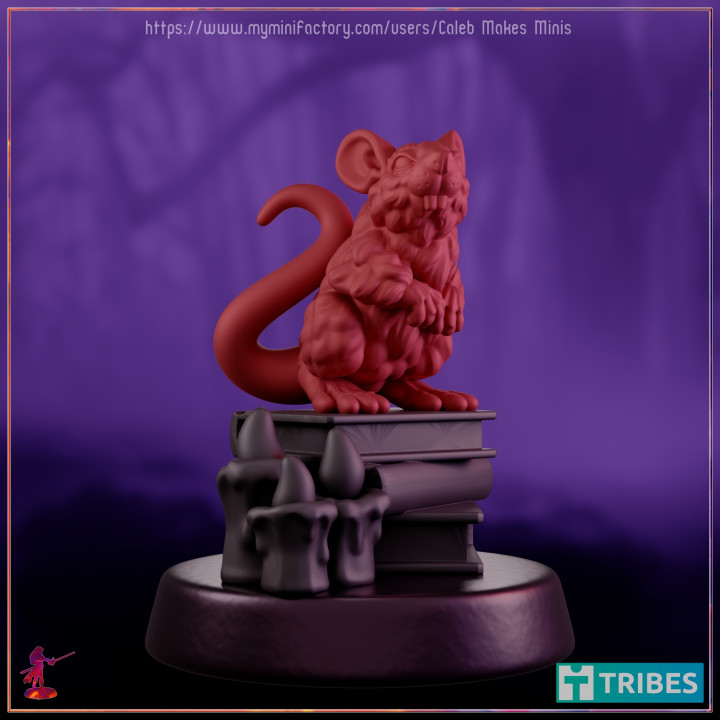 3D Printable Rat - Familiar [PRE-SUPPORTED] | Followers & Familiars ...