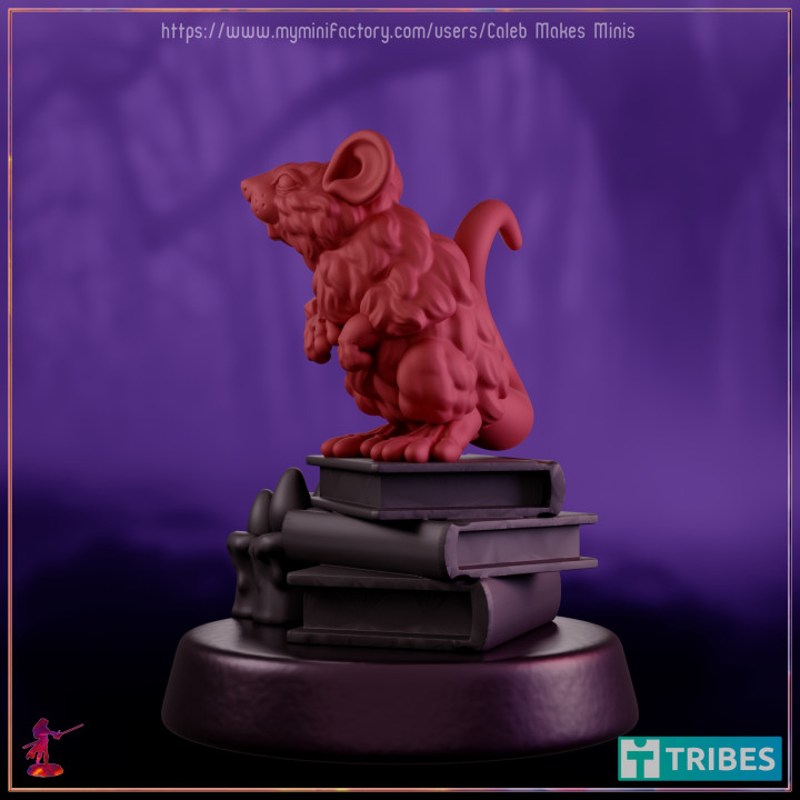 3D Printable Rat - Familiar [PRE-SUPPORTED] | Followers & Familiars ...