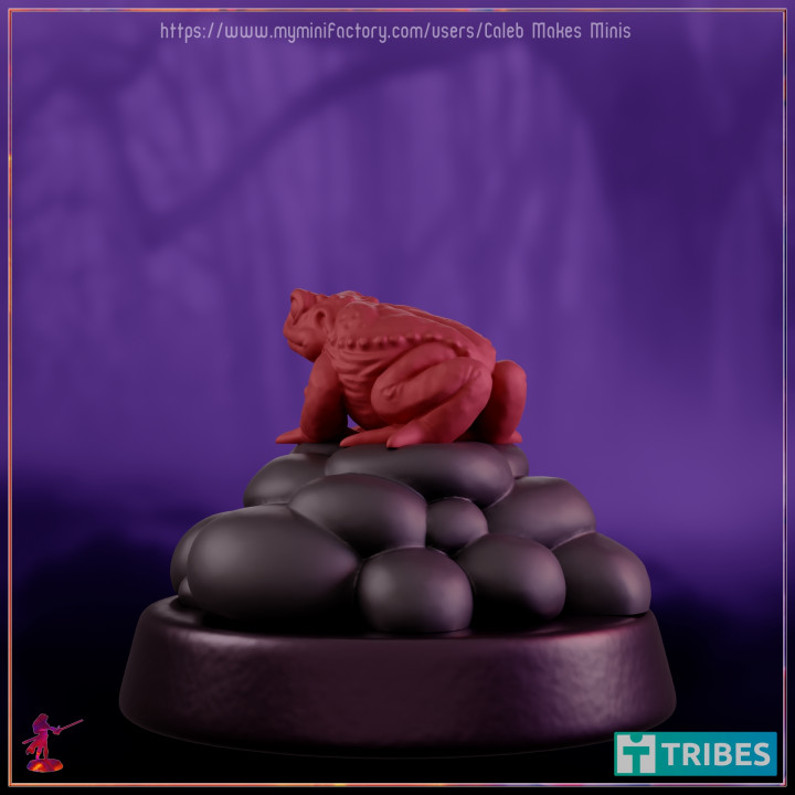 3D Printable Toad - Familiar [PRE-SUPPORTED] | Followers & Familiars ...