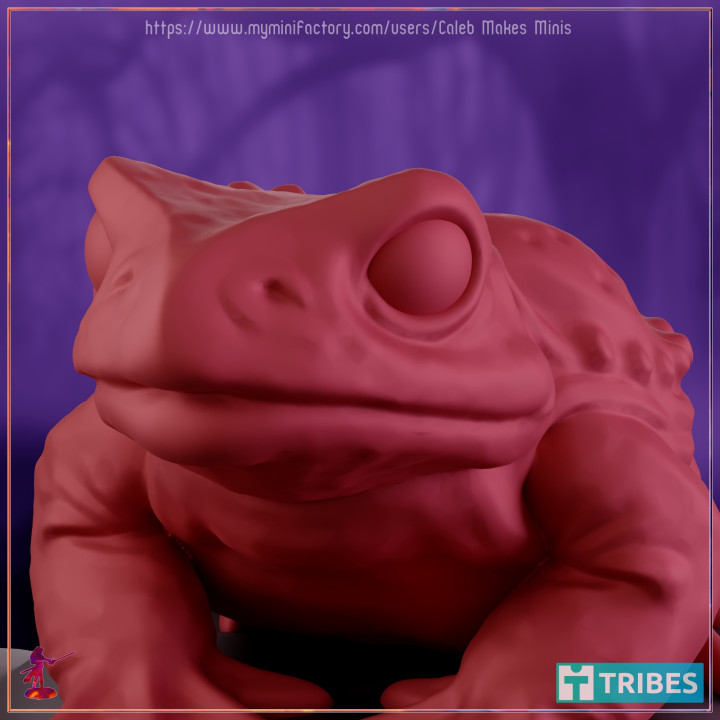 3D Printable Toad - Familiar [PRE-SUPPORTED] | Followers & Familiars ...