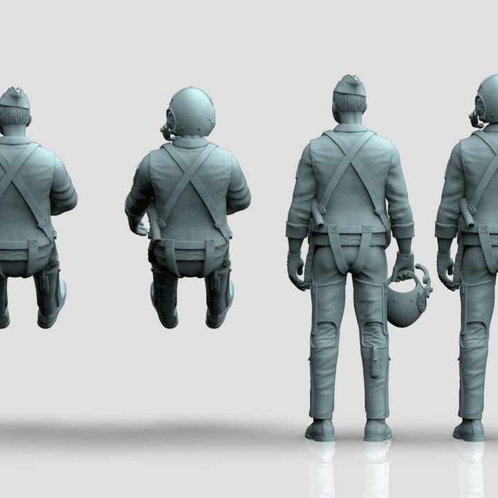 3D Printable Robin Olds general officer in the United States Air Force ...