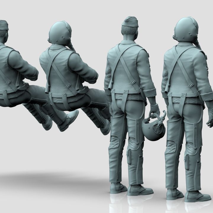 3D Printable Robin Olds general officer in the United States Air Force ...