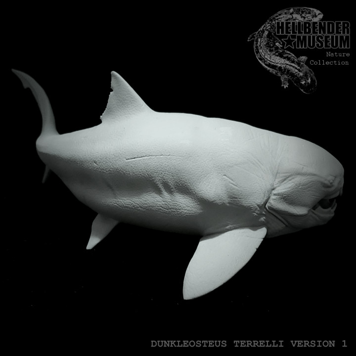 3D Printable Dunkleosteus terrelli, Version 1- Large and Mini Scale by ...