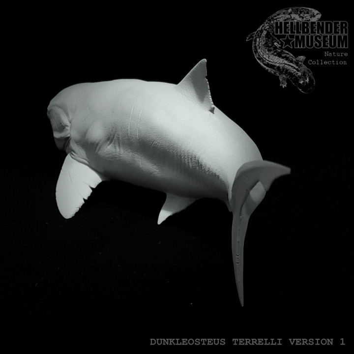 3D Printable Dunkleosteus terrelli, Version 1- Large and Mini Scale by ...