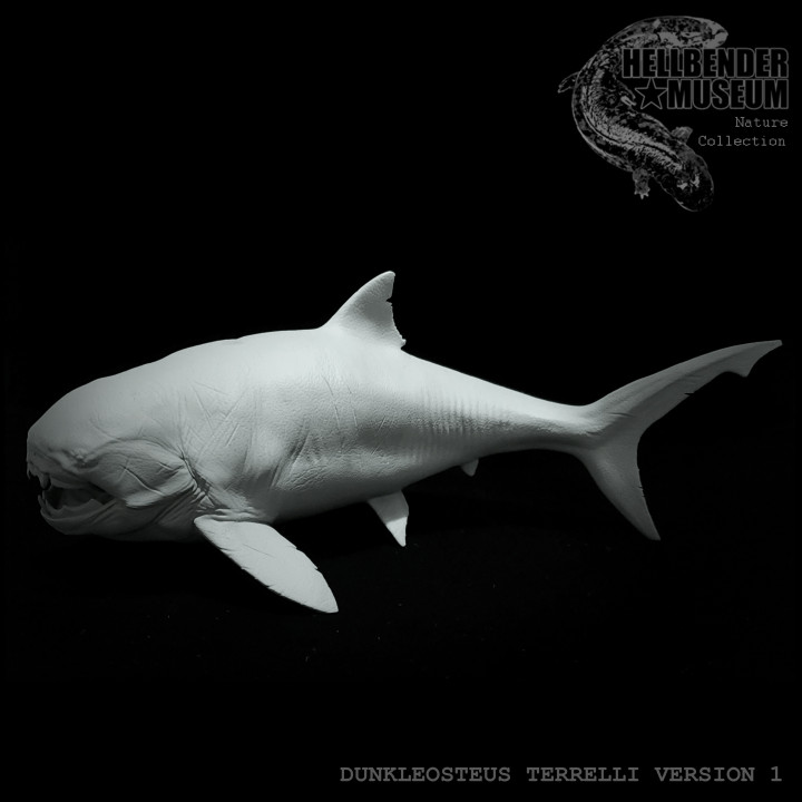 3D Printable Dunkleosteus terrelli, Version 1- Large and Mini Scale by ...
