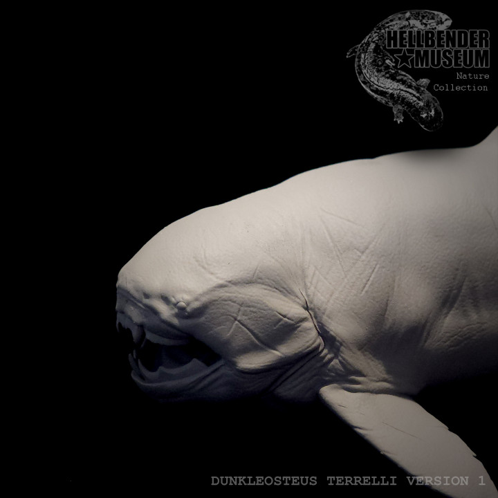 3D Printable Dunkleosteus terrelli, Version 1- Large and Mini Scale by ...