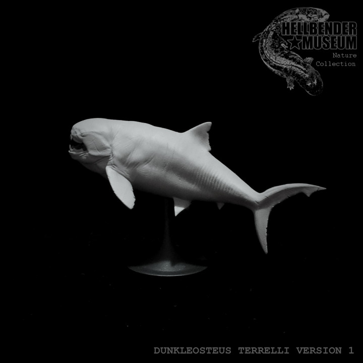 3D Printable Dunkleosteus terrelli, Version 1- Large and Mini Scale by ...