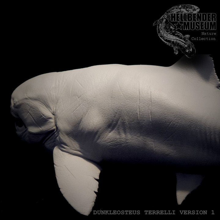3D Printable Dunkleosteus terrelli, Version 1- Large and Mini Scale by ...