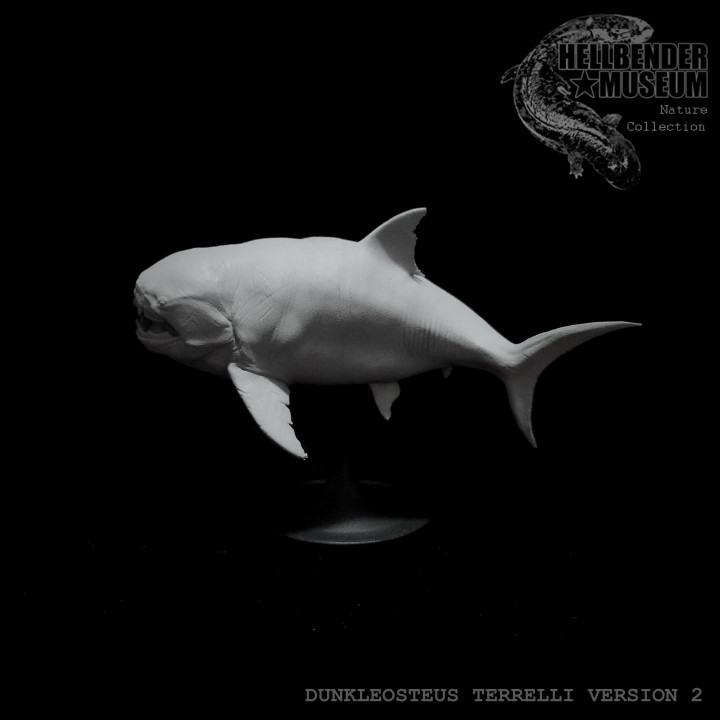 3D Printable Dunkleosteus terrelli, Version 2 "Chunkleosteus"- Large ...